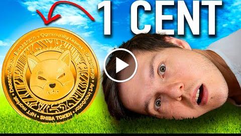 The Freaky Truth Of 1 Shiba Inu : Wake Up To Cash